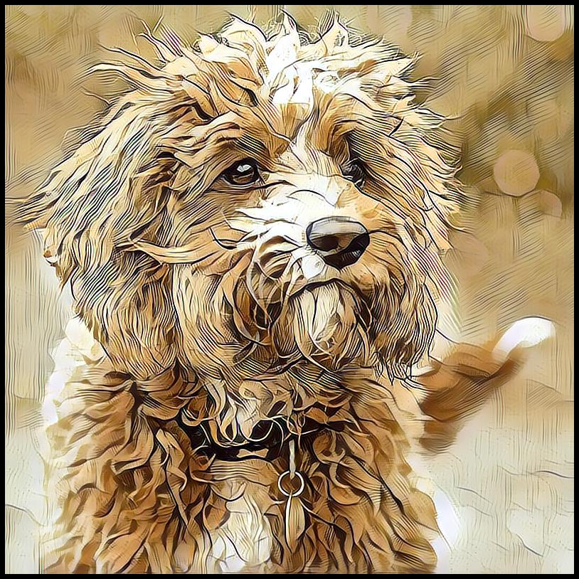 Custom Cavapoo Dog Mug - Coloromo Art Style Hairy Styles | Coloromo