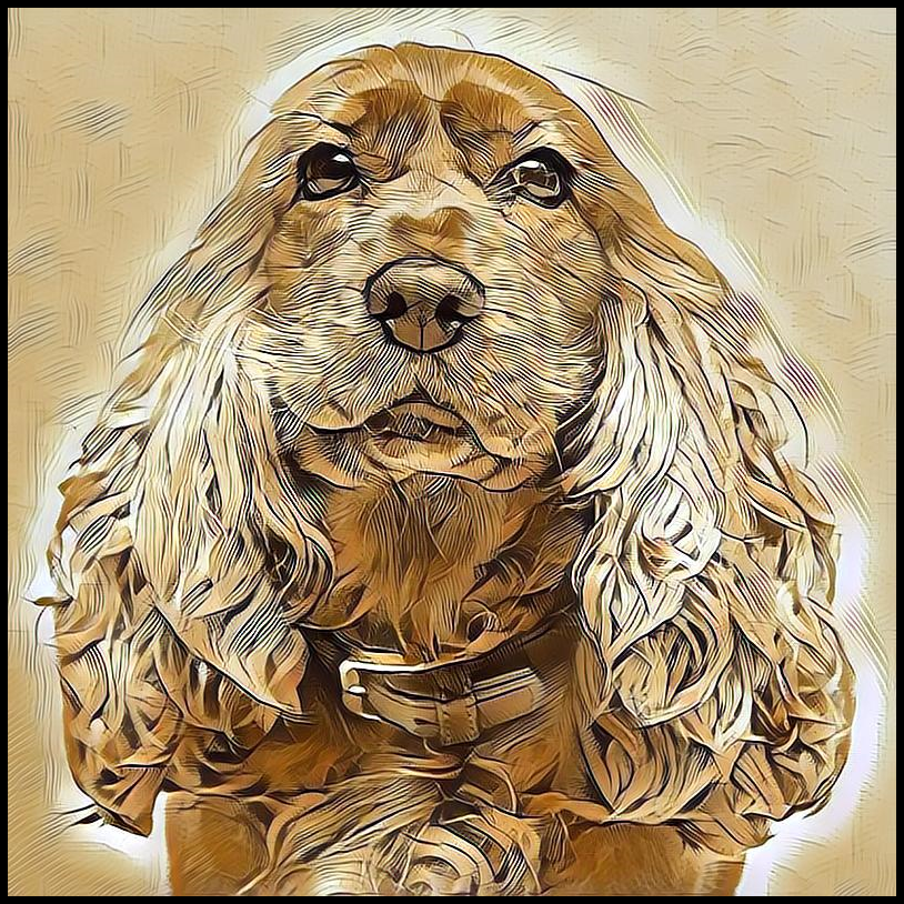 Custom Cocker Spaniel Dog Mug - Coloromo Art Style Hairy Styles | Coloromo